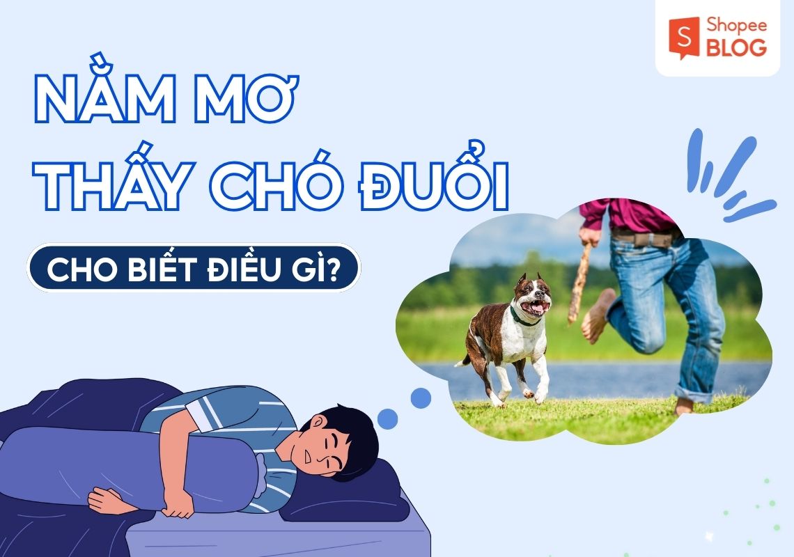 Mơ Bị Chó Đuổi Báo Điềm Gì? Luận Giải 20+ Tình Huống Cụ Thể